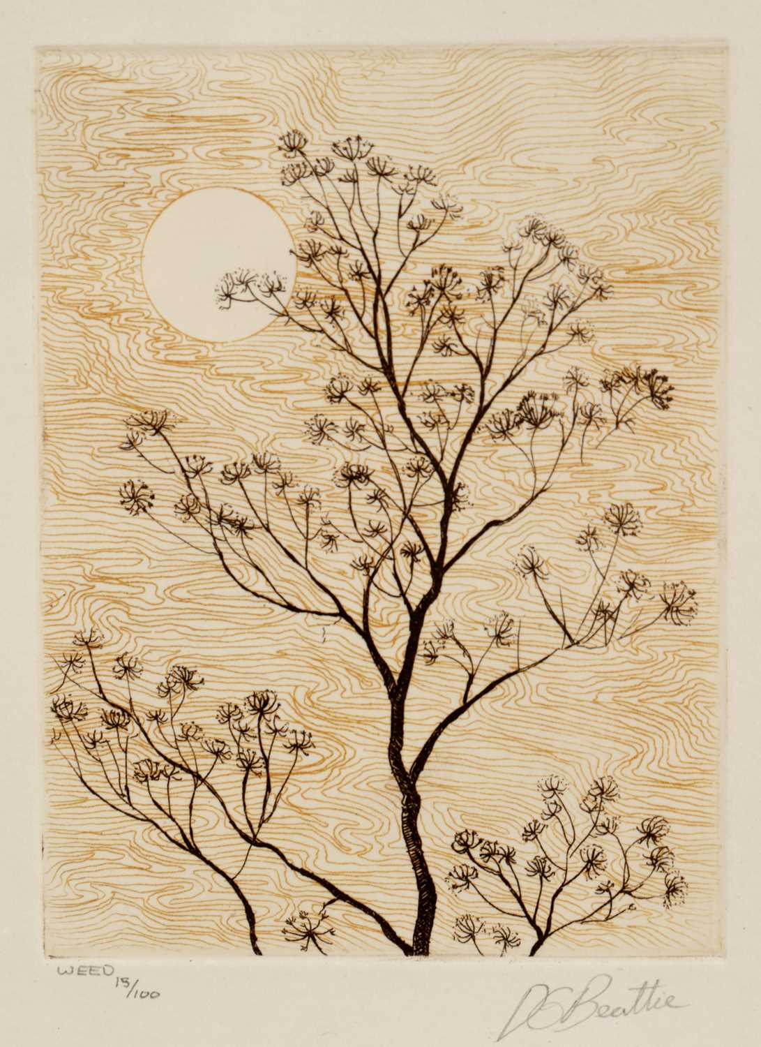 Lot 186 - David Beattie (b.1955) 'Weed', etching and